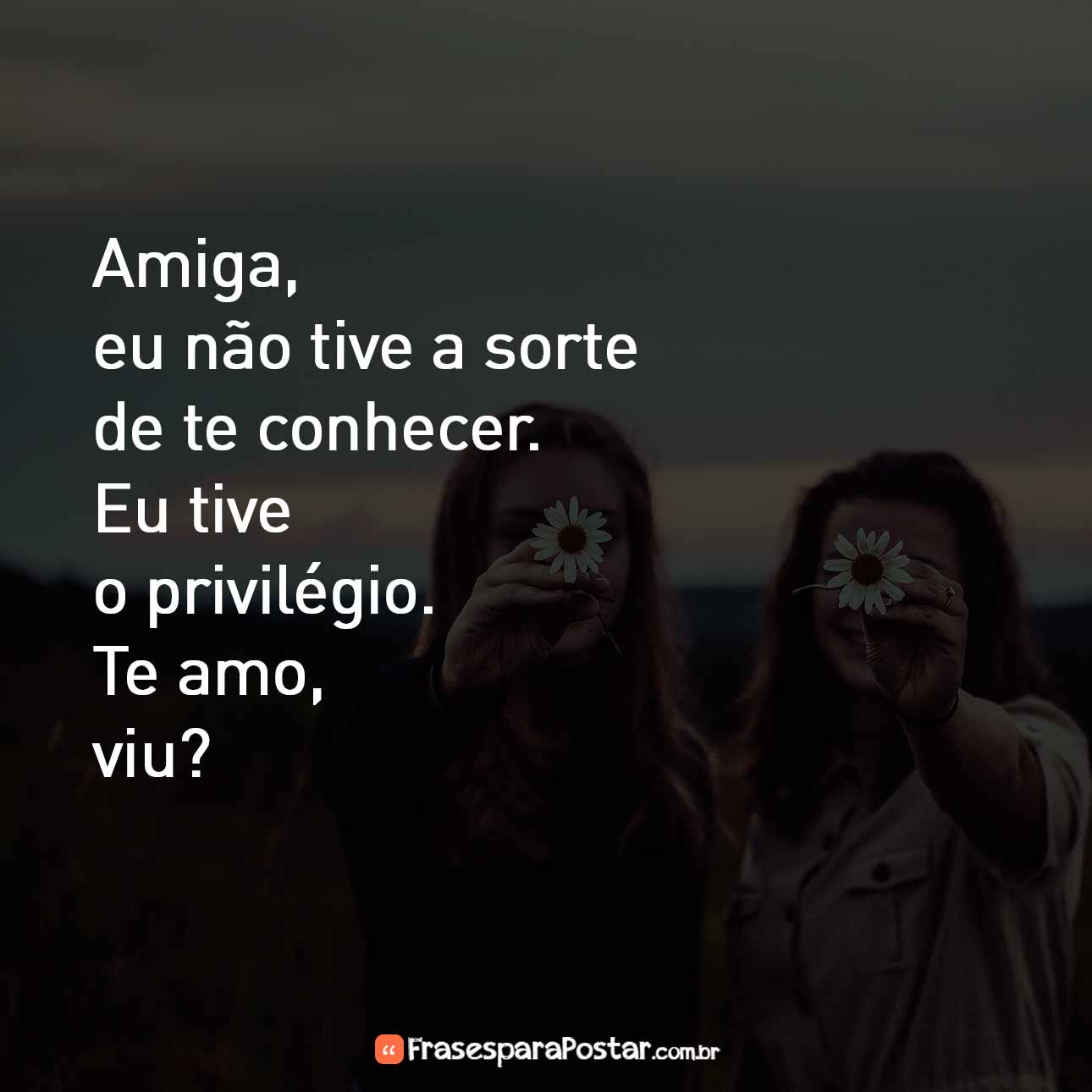 Amiga, eu não tive a sorte de te conhecer - Frases para Postar