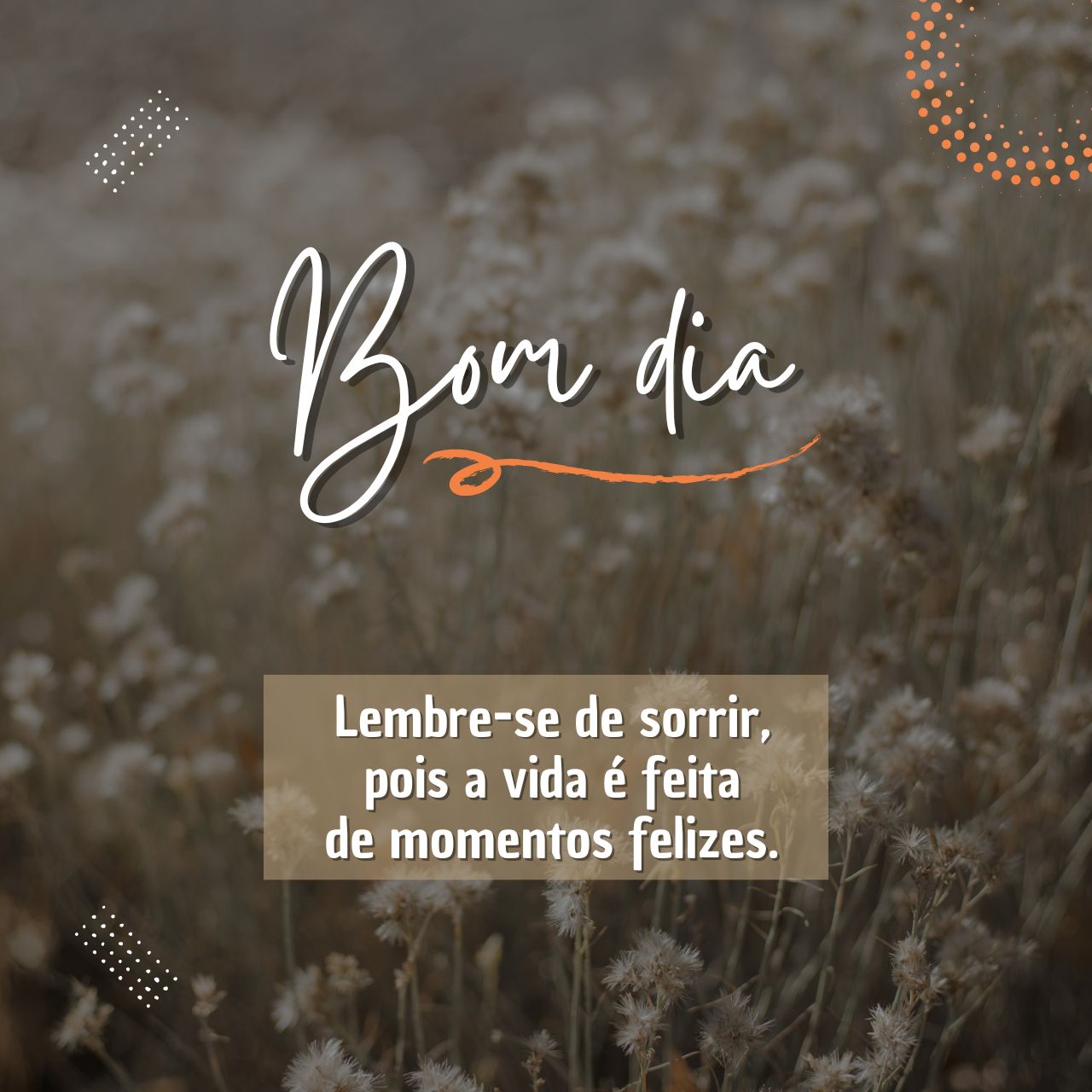 50 Frases de Bom Dia para Começar o Dia com Positividade - Frases para ...