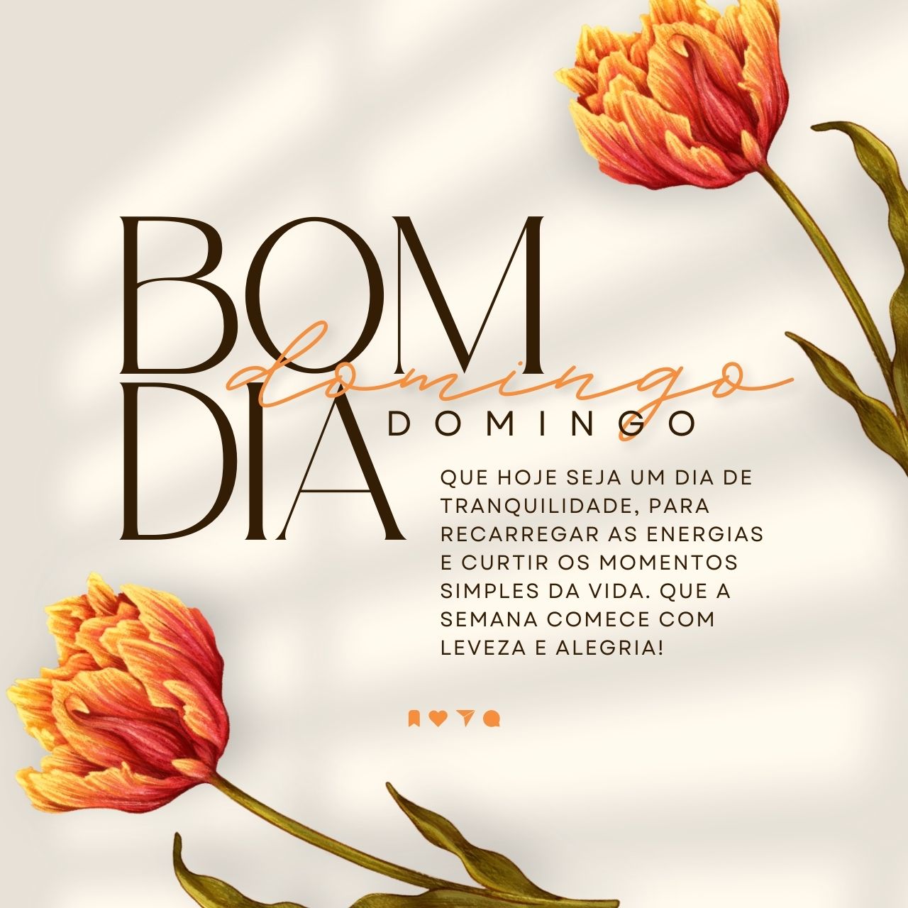 Bom Dia, Domingo! - Frases para Postar